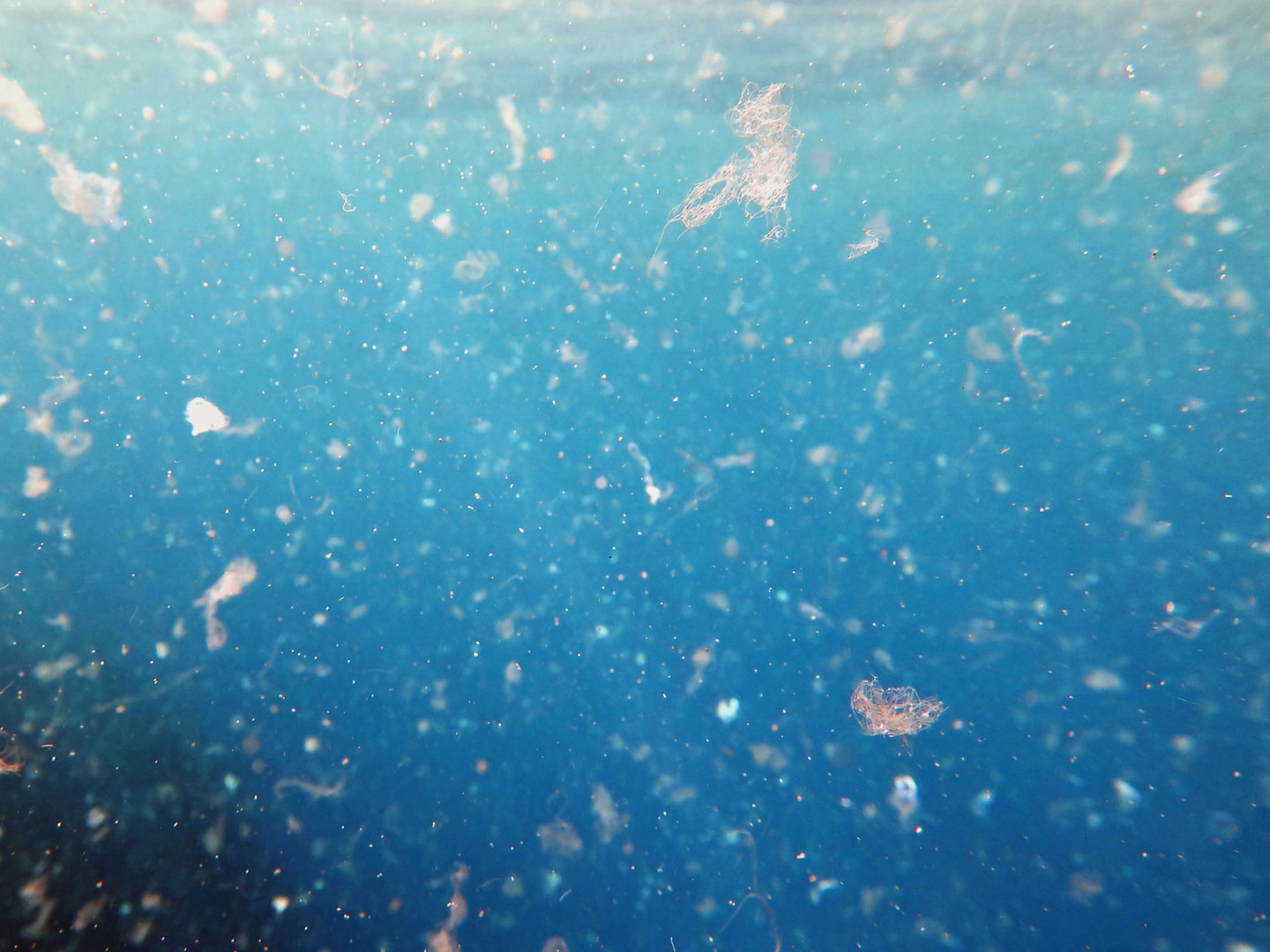 plastic-everywhere-even-in-human-waste-andrew-weil-m-d